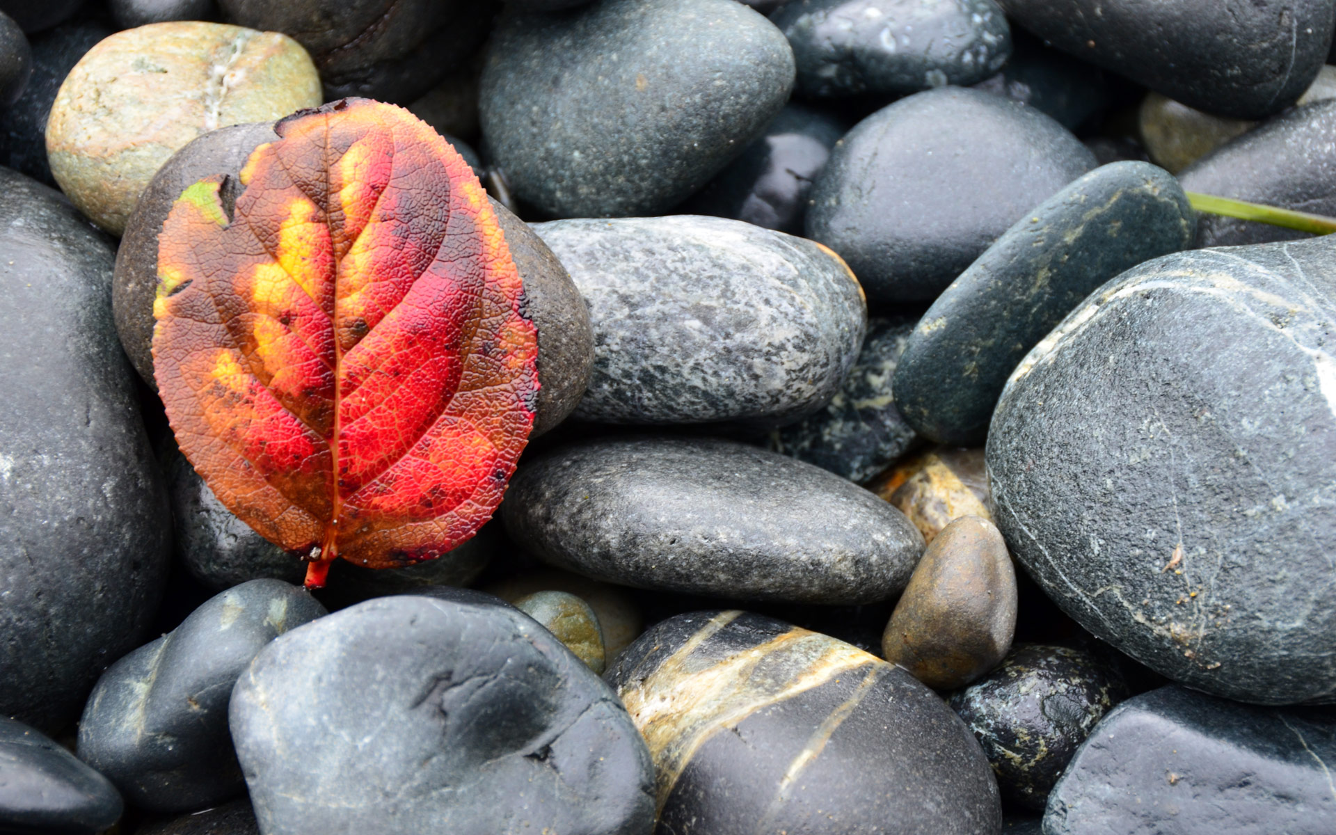 Focal Point Optometry | Qualicum Beach, B.C.